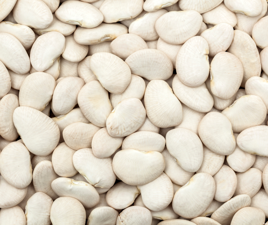 LIMA BEANS LARGE